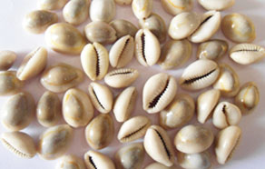 Jairamdass Khushiram Impex Pvt.Ltd.