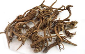 Jairamdass Khushiram Impex Pvt.Ltd.